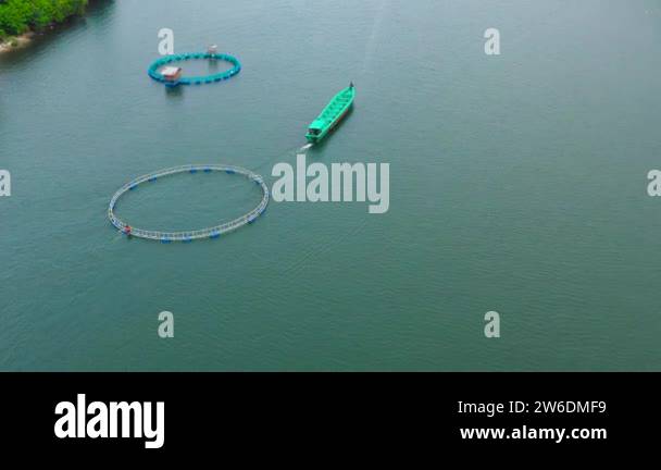 Fish farm with cages for fish and shrimp in the Philippines, Luzon ...