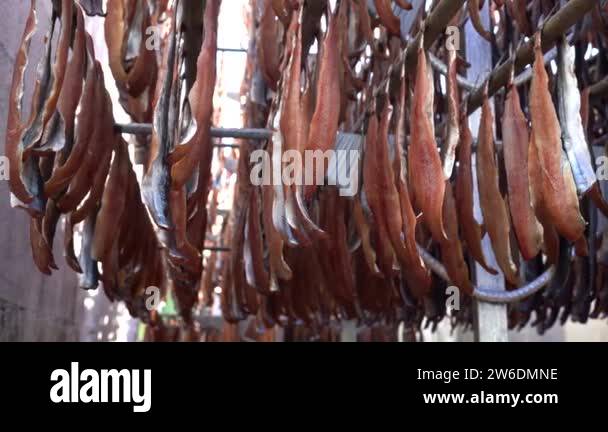 Pohang special product of Korea (Gwamegi) (dried Saury). Guryongpo is ...