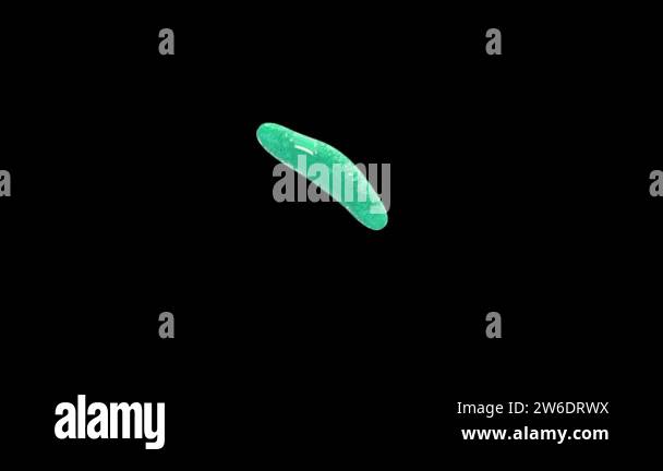 Multiplication of bacteria, 3D animation Stock Video Footage - Alamy