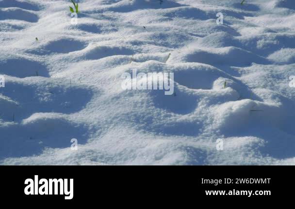 Snowy ground texture Stock Videos & Footage - HD and 4K Video Clips - Alamy