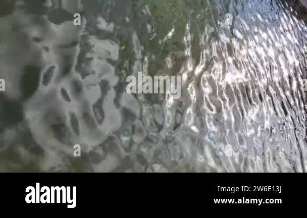 Sparkling blinking sun flares at wavy water surface of lake Stock Video ...