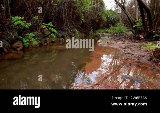Stock Footage of a calm stream and its wet banks in Israel Stock Video ...