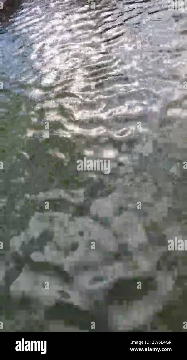 Sparkling blinking sun flares at wavy water surface of lake Stock Video ...