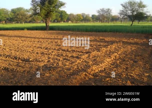 Agriculture bill Stock Videos & Footage - HD and 4K Video Clips - Alamy