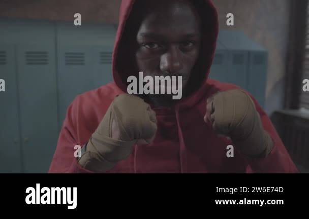 Boxer on guard Stock Videos & Footage - HD and 4K Video Clips - Alamy