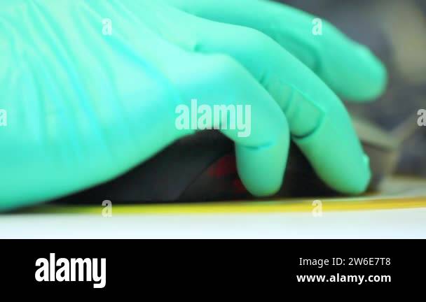 Scientist with green gloves who use a computer in a laboratory. We can ...