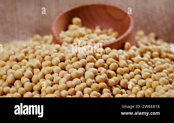 Soybean, High in fiber, top view texture, supplementary food, Protein ...