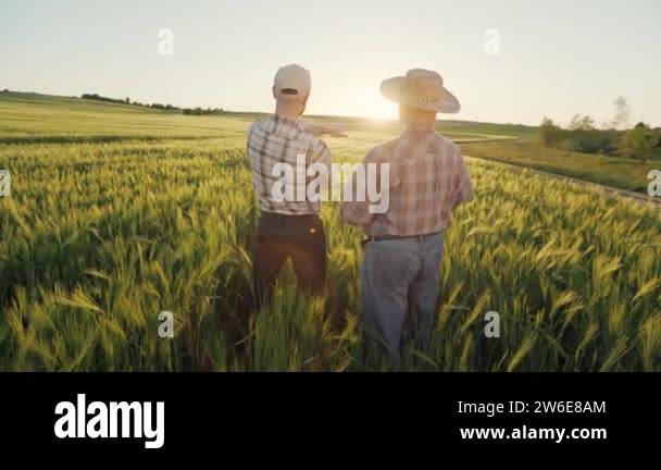 Two farmers are standing in the middle of a field and talking about the ...