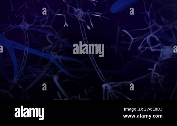 Brain neuron synapses Stock Videos & Footage - HD and 4K Video Clips ...
