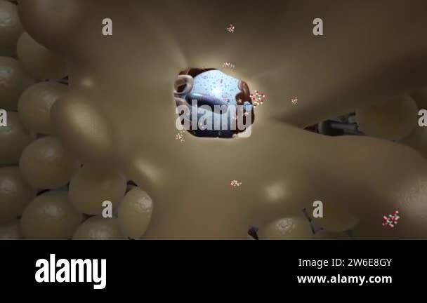 Vascular birthmarks are made up of blood vessels that haven?t formed ...