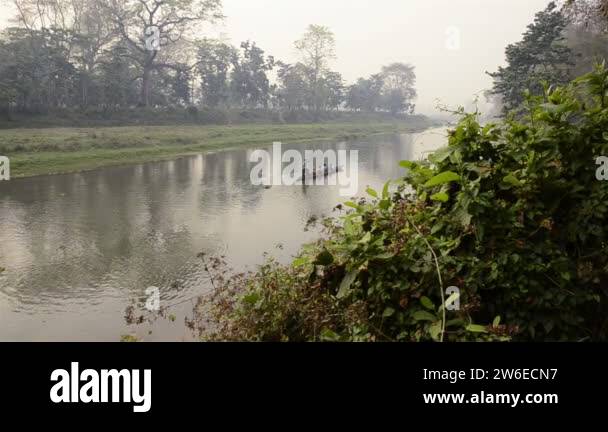 Chitwan national park Stock Videos & Footage - HD and 4K Video Clips ...