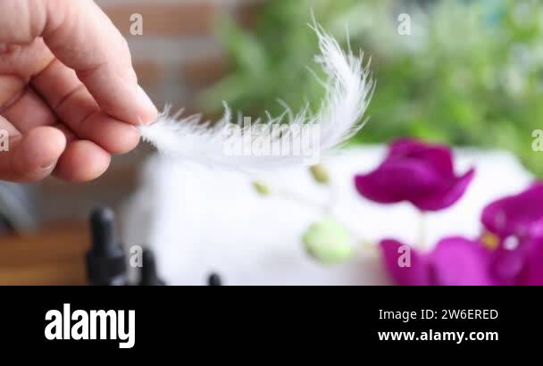 Oil bird hand Stock Videos & Footage - HD and 4K Video Clips - Alamy