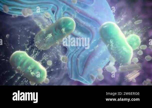 Cancer Cell Division. Tumor Growth and Progression. Abnormal and ...