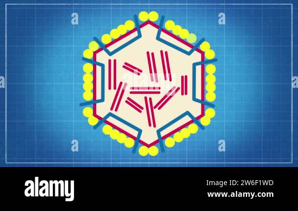Virus classification - naming viruses and placing them into a taxonomic ...