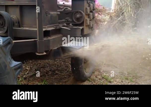 Cutter bar of a combine harvester harvesting a field of Millet or ...