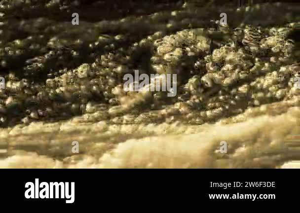 Oceanic flow Stock Videos & Footage - HD and 4K Video Clips - Alamy