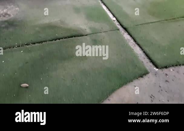 Coach destroyed Stock Videos & Footage - HD and 4K Video Clips - Alamy