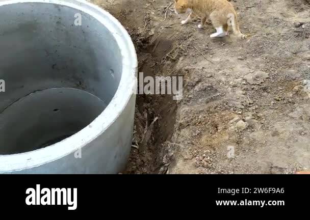 Installation of concrete rings for sewerage near the house ...