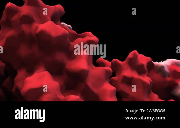 Seamless Loop Of 3D Model Of An Authentic Sars-Cov-2 Virus Particle ...