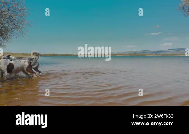 The blue pool wales Stock Videos & Footage - HD and 4K Video Clips - Alamy