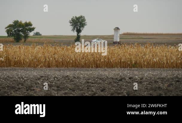 Field, Ecology Environment Pollution Electric Station Wires Cement ...