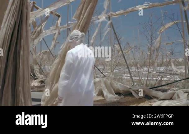 Female Agronomist Scientist in hazmat outfit walking through the ...