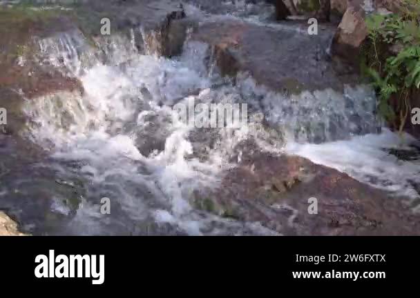 Granite stream forest Stock Videos & Footage - HD and 4K Video Clips ...