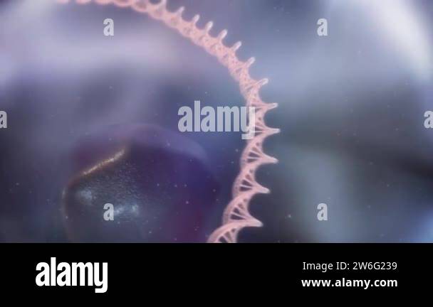 Cancer dna tumor Stock Videos & Footage - HD and 4K Video Clips - Alamy