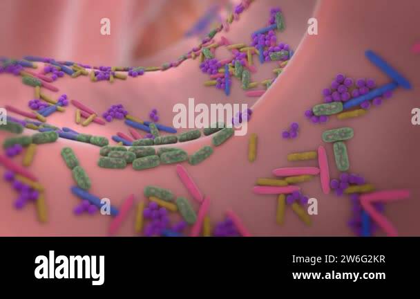 Magnifying glass and germs show signs of illness, internal organs ...
