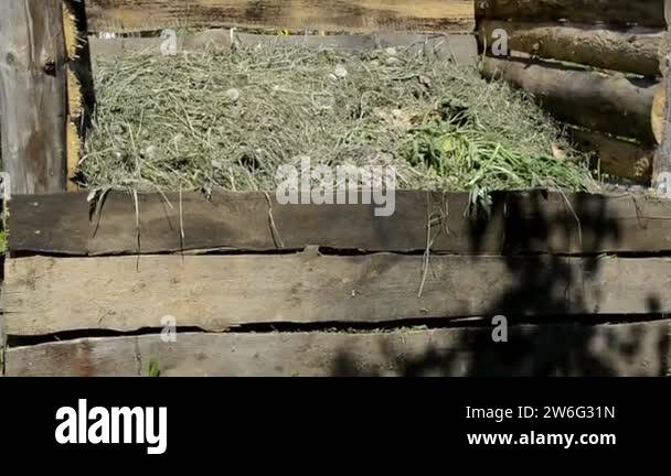 Manure waste pit outside Stock Videos & Footage - HD and 4K Video Clips ...