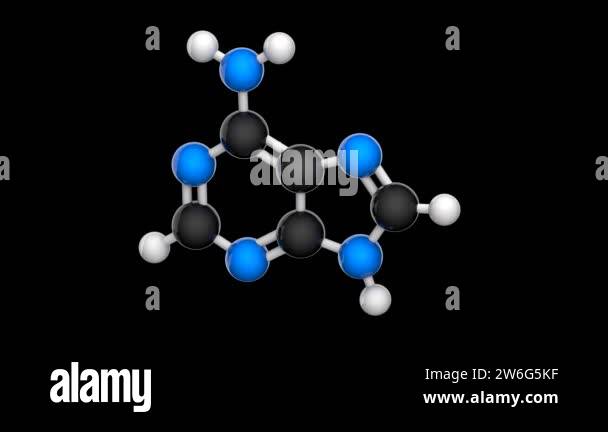 Molecular structure of Vitamin B4 (Adenine). 3D render. Seamless loop ...