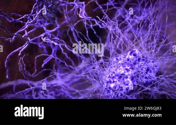 Cell structure biology Stock Videos & Footage - HD and 4K Video Clips ...