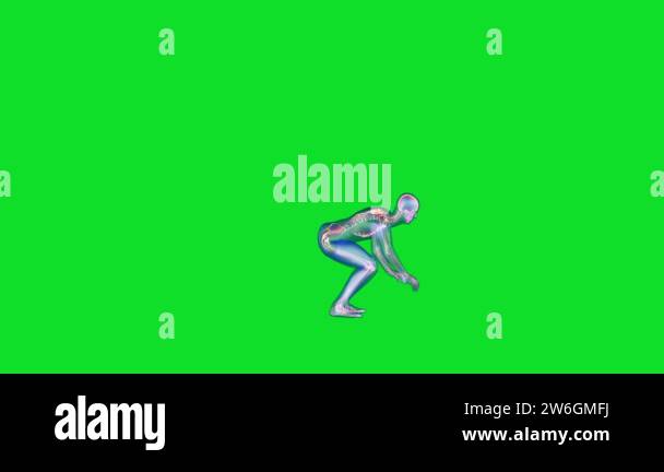 Human x-ray body and skeleton doing burpees, side view, loop, Green ...