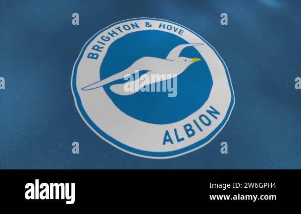 Seamless loop wavy motion of a blue football club flag with a white ...