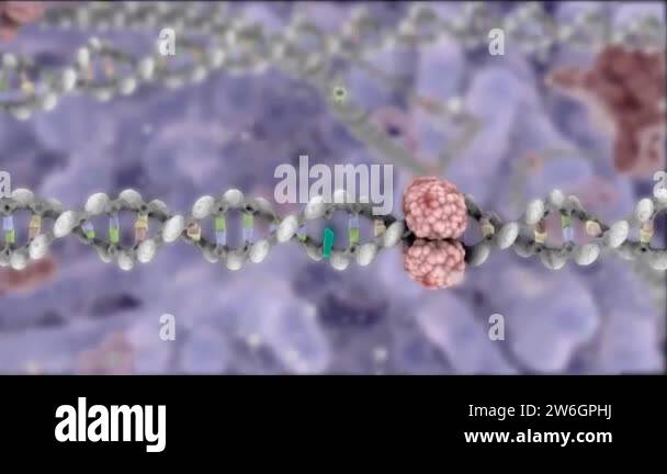 DNA helix inside bacterial cell. Biology, virus, science, medical, gmo ...