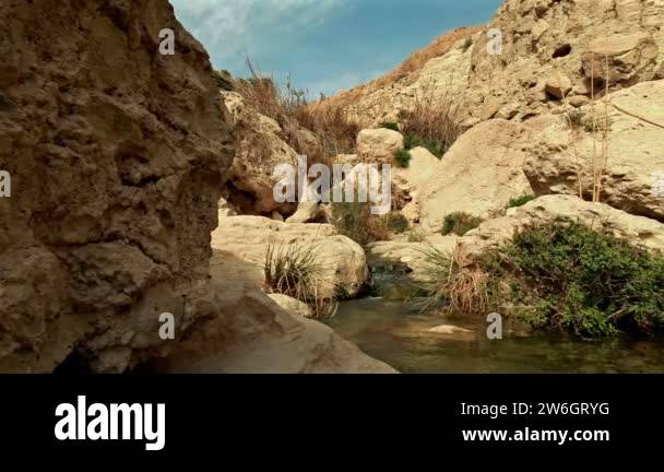 Blue pool nature reserve Stock Videos & Footage - HD and 4K Video Clips ...