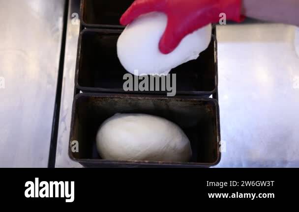 Dough in a bread baking dish. Bakery baking process in factory. Bakery ...
