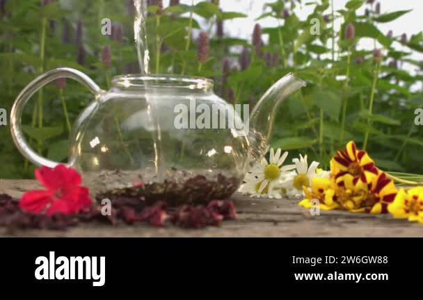 Herbal tea in nature. Slow Motion 2x. Rack focus. Still life with ...