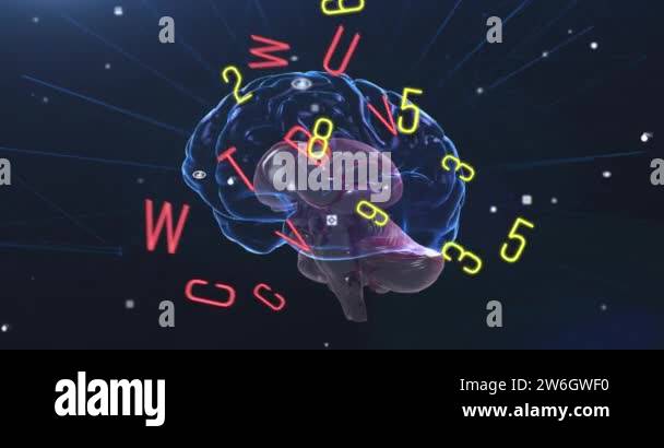 Human brain spinning against multiple changing numbers and alphabets ...