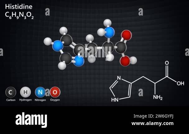 Histidine (symbol His or H) is an amino acid that is used in the ...