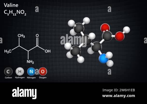 Valine (symbol Val or V) is an amino acid that is used in the ...