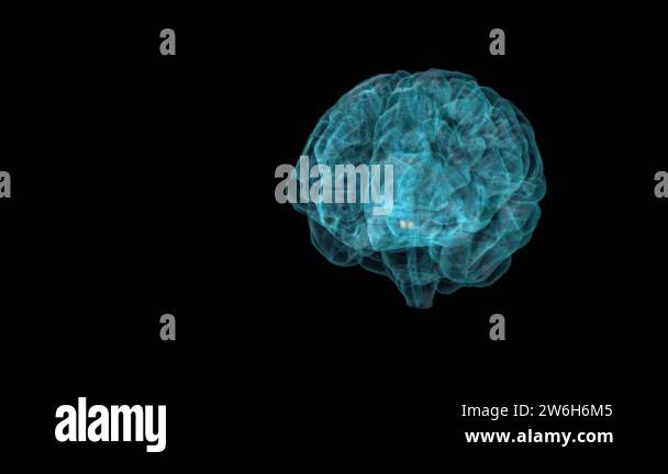 Body atlas Stock Videos & Footage - HD and 4K Video Clips - Alamy