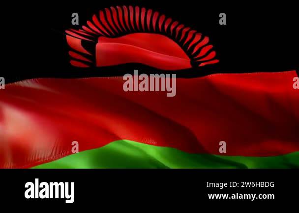 Malawi flag Motion Loop video waving in wind. Realistic Malawian Flag background. Malawi Flag ...