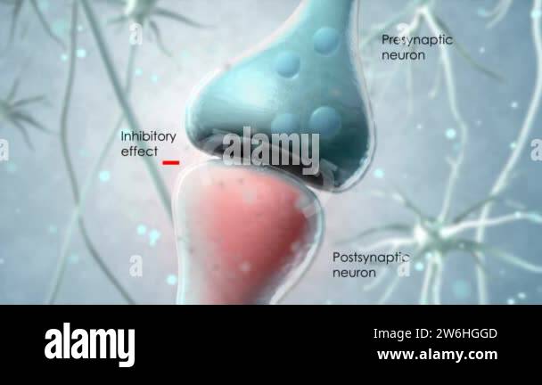 Dendrite brain Stock Videos & Footage - HD and 4K Video Clips - Alamy