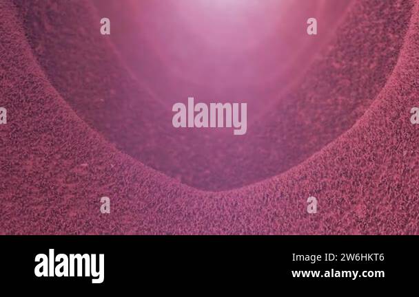 Realistic villi inside the intestines under the microscope. Intestinal ...