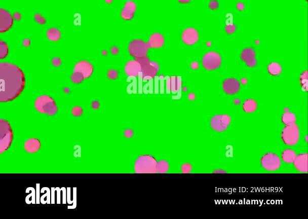 Animated loop able moving pink circular particles on green screen ...