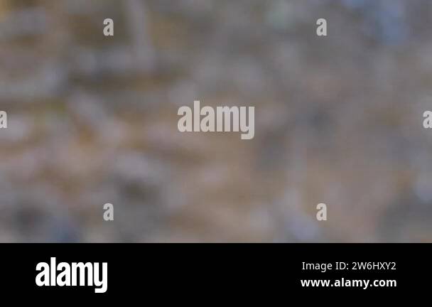 The concept for designing bokeh, blur and defocus effects. The day is ...