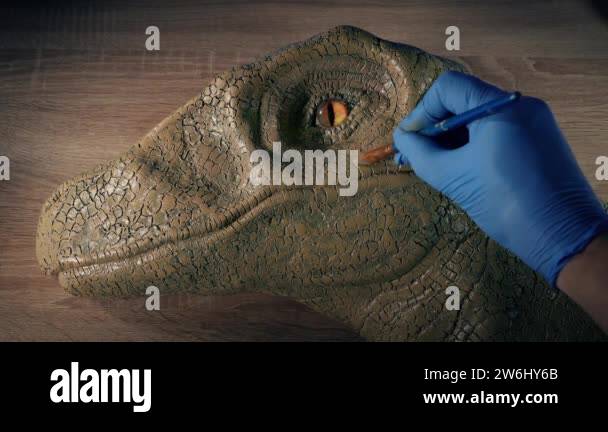 Raptor Head Being Finished For Museum Or Theme Park Stock Video Footage ...