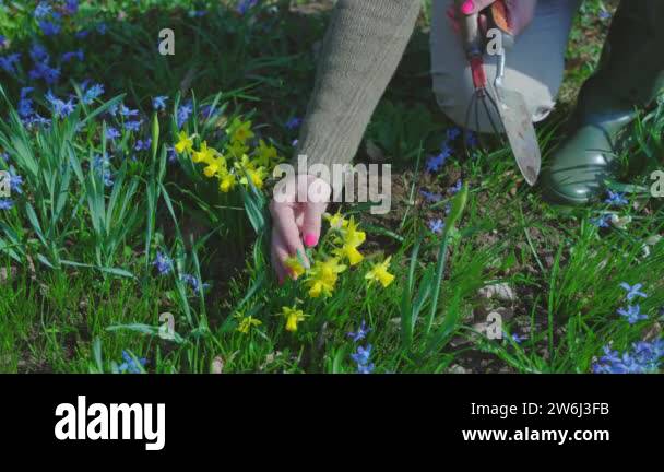 Weeds around the farm Stock Videos & Footage - HD and 4K Video Clips - Alamy