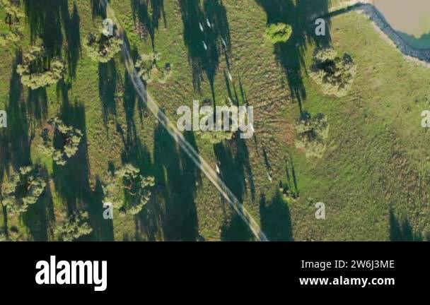 Scrubby grass Stock Videos & Footage - HD and 4K Video Clips - Alamy